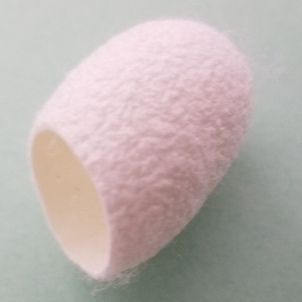 Silk Cocoon for Facial Treatment | SILKPRADA